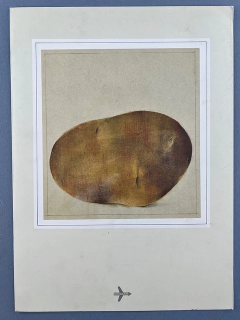 SWISSAIR FIRST CLASS Vintage Airline Menu Switzerland - North Africa ...