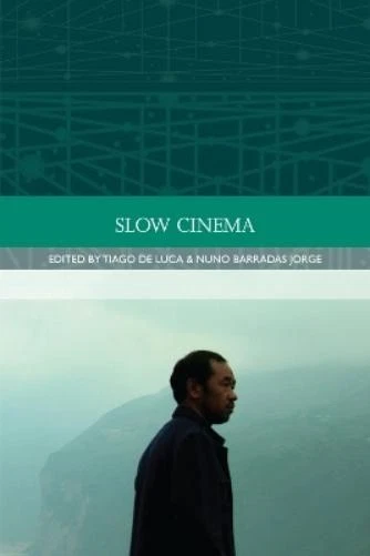 TIAGO DE LUCA Slow Cinema (Poche) Traditions in World Cinema EUR 42,71 ...