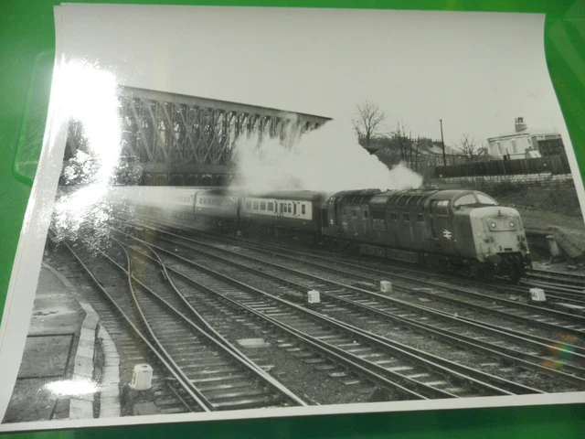 LARGE FORMAT RAILWAY Photo "Deltic" 55014 Duke of Wellingtons Regiment ...