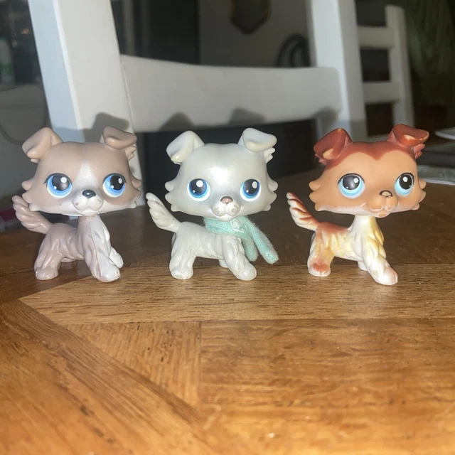 LPS #363/58 /67 Littlest Petshop Original Authentique Chien Colley Dog ...