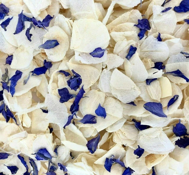 BIODEGRADABLE CONFETTI IVORY Blue Natural Wedding Confetti Dried Real ...