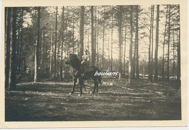 FOTO OFFIZIER-WEHRMACHT MIT Pferd 2.WK (G795) EUR 3,25 - PicClick DE