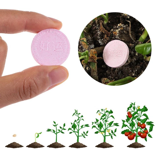 ORGANIC FERTILIZER EASE Plant Food All-purpose Fertilizer Slow-Release ...