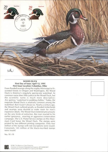 MAXIMUM CARD WOOD Duck 1991 Columbus, OH Original Vintage Postcard ...