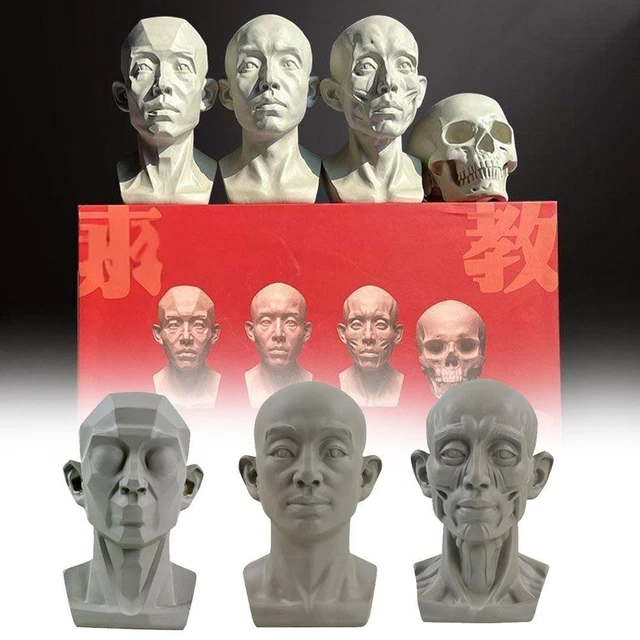 PLANAR HEAD MODEL For Artists Learn Planes of Face Human Head Model New ...