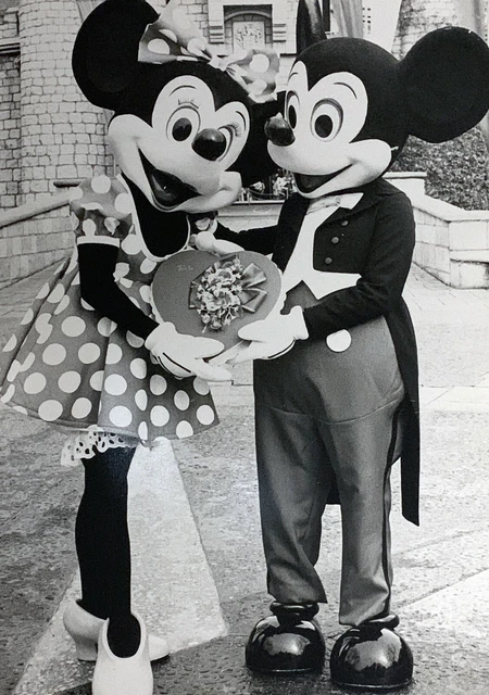 VINTAGE PRESS PHOTO Minnie Mouse And Mickey Mouse, Park Divertimenti ...