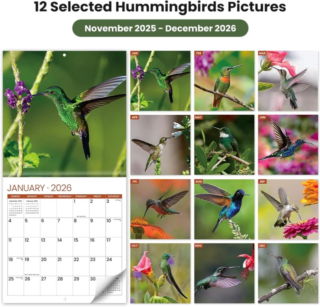 2026 CALENDAR, HUMMINGBIRDS Monthly Wall Calendar 2026 Runs from Nov ...