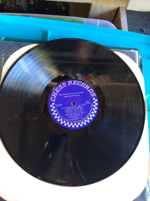 SCHACH ROCKABILLIES JUST Go Wild Over Rock & Roll Dale Hawkins Rusty ...