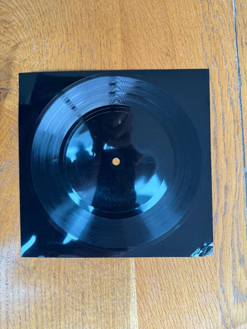 'STATEMENT'. POISON GIRLS. Vi Subversa. Anarcho-Punk. Rare Flexi Disc ...