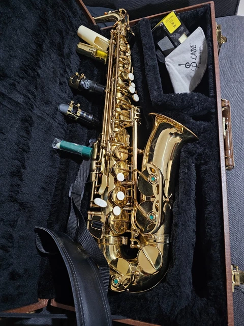 SAX CONTRALTO MAXTONE oro, usato, inclusa valigetta e due bocchini uno ...