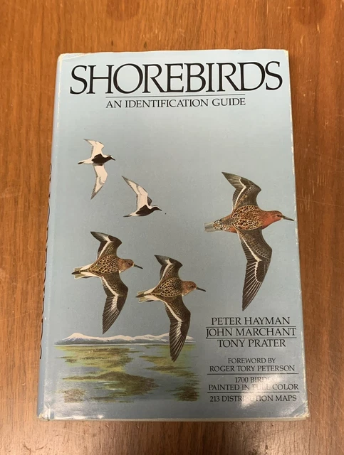 SHOREBIRDS : AN Identification Guide to the Waders of the World par ...