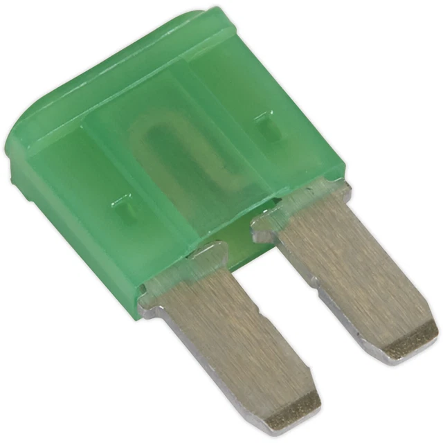 50 PACK 30A Automotive Micro 2 Blade Fuse Pack - 2 Prong Vehicle ...