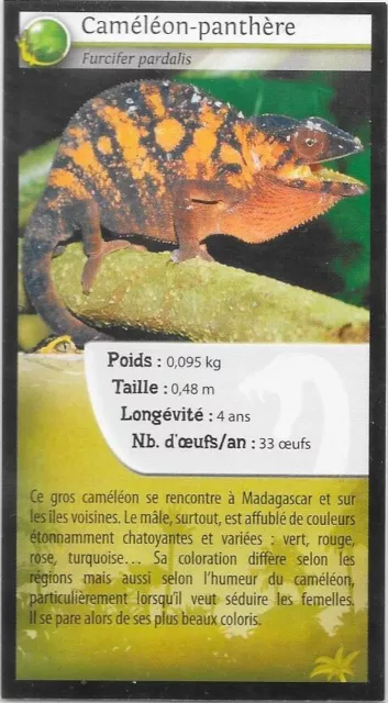 CARTE QUICK - Reptiles - Caméléon panthère EUR 1,50 - PicClick FR