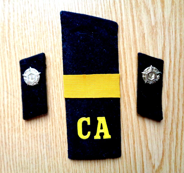 RUSSIAN EPAULETTES OF a senior sergeant and buttonholes of chemical ...