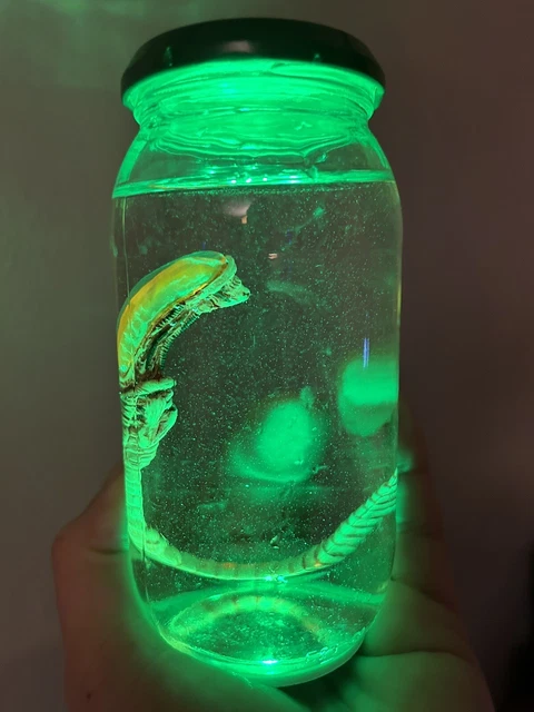 ALIEN GLOW JAR Xenomorph Specimen Chestburster Film Replica Aliens UK £ ...