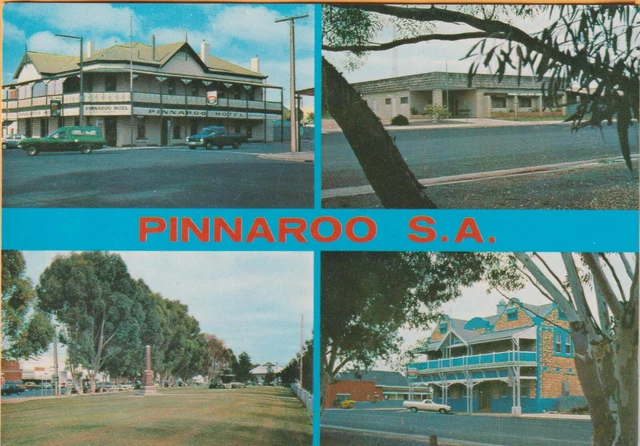 PINNAROO S.A 4 Scenes Incl Golden Grain Hotel Pitt Postcard EUR 5,41 ...