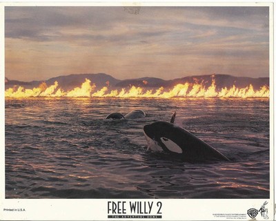 FREE WILLY 2 The Adventure Home killer whale orcas 1995 movie photo ...