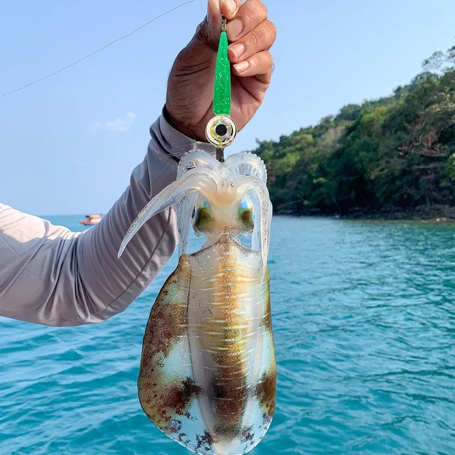TAYOUNG DEEPWATER PESCE LED con luce, calamari, calamari, subacqueo EUR ...
