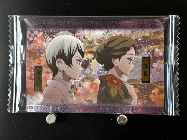 TAMAYO YUSHIRO DEMON Slayer Kimetsu no Yaiba Wafer Card #009 Japanese ...