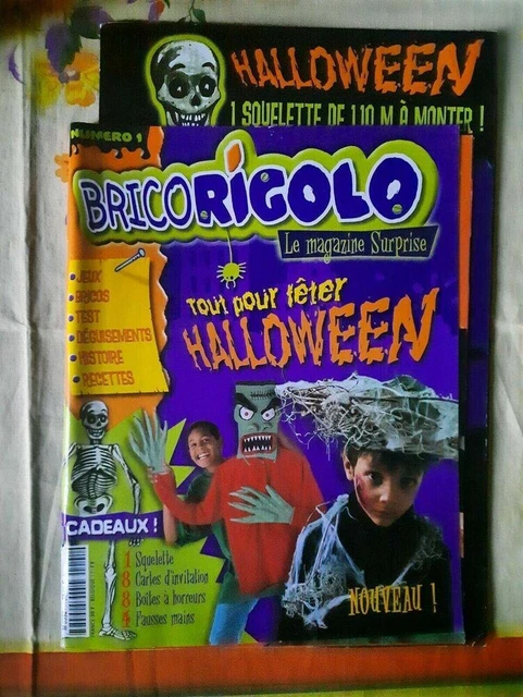 BRICO RIGOLO/LE MAGAZINE Surprise -Halloween Nº1 EUR 2,00 - PicClick FR