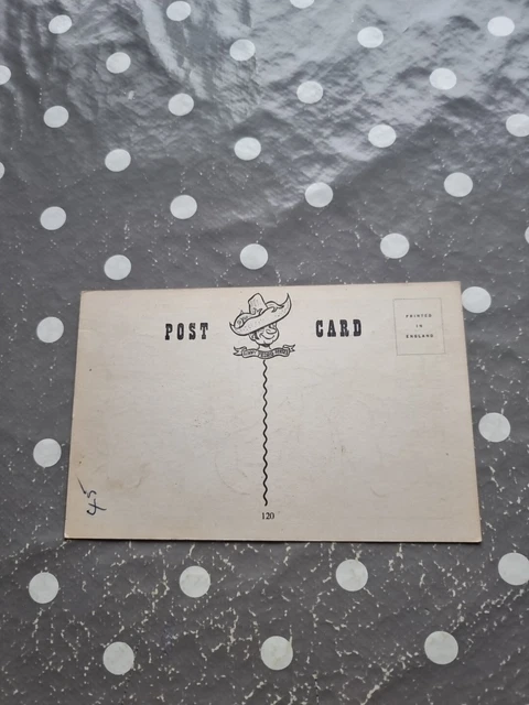 VINTAGE SAUCY SEASIDE Comic Postcard Sunny Pedro Series No 120 By Pedro ...