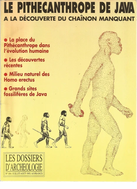 LES DOSSIERS DE L'archeologie N°184 Pithecanthrope Ds L'evolution ...