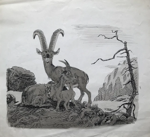 KARL ADSER NATURALIST Watercolour Tierporträt Steinbock-Familie IN To ...