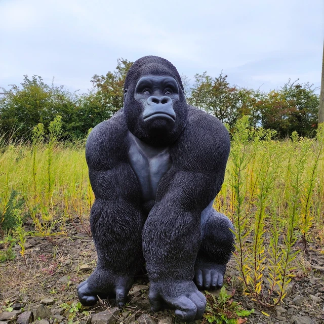 *GIANT GORILLA* - Vivid Arts LIFE SIZE Silverback Gorilla £1,399.00 ...