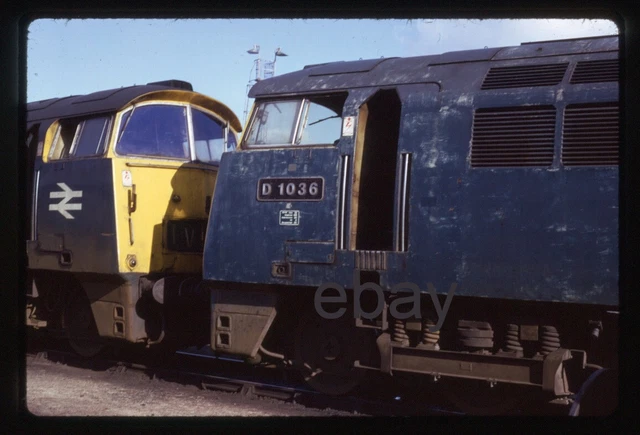 2X ORIGINAL 35MM slides- Close up views of 'Western' locos - D1036 at ...