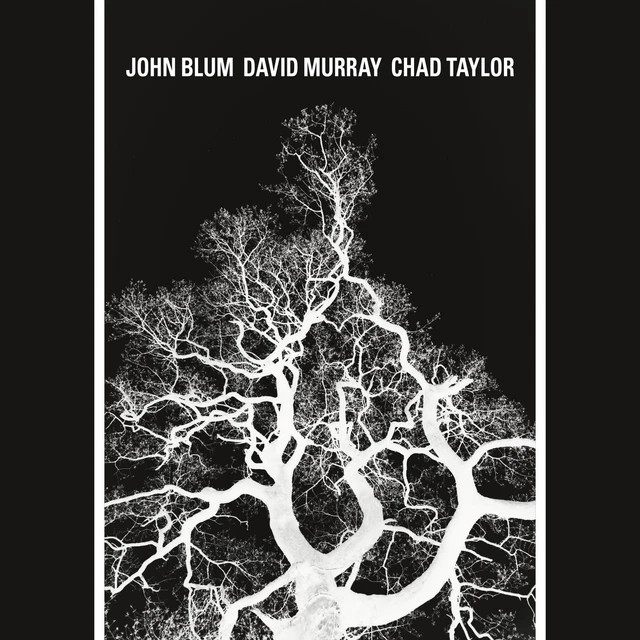 JOHN BLUM, DAVID Murray, Chad Taylor The Recursive Tree (CD) EUR 26,04 ...