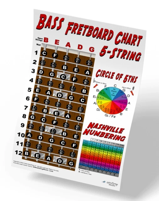 LAMINATED String Bass Fretboard Chart Poster Nashville Numbering Theory ...