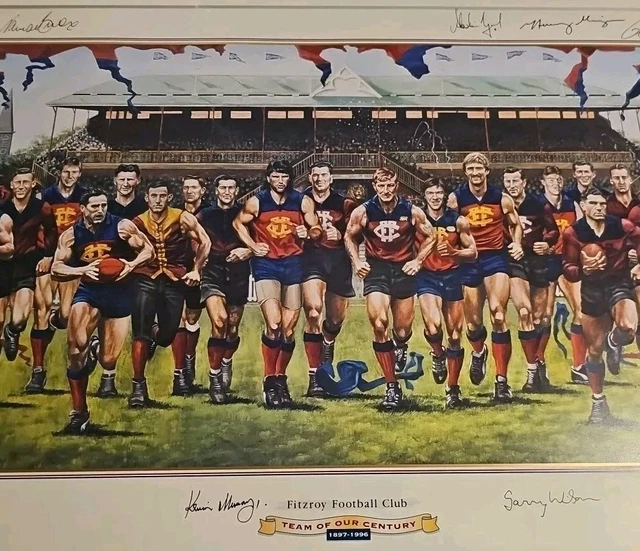 FITZROY LIONS - Team Of Our Century- Limited Edition #5/550 Coa Signed ...