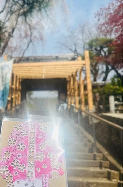 GOSHUIN STAMP SHRINE Waseda Horinji Temple Cutout Goshuin April Cherry ...