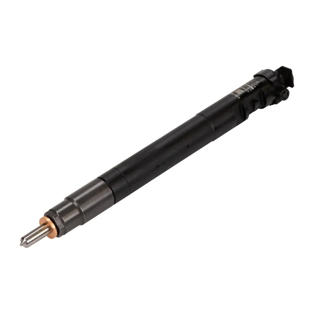 BUSE D'INJECTION NOUVEAU Delphi 9686191080 EUR 459,00 - PicClick FR