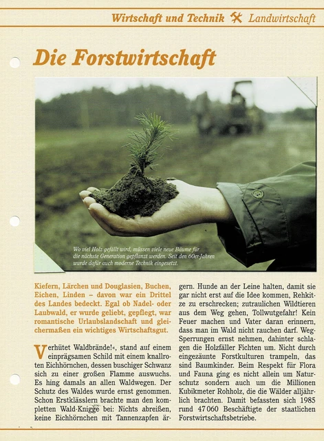 DIE FORSTWIRTSCHAFT IN der DDR - DDR Infokarte EUR 1,00 - PicClick DE