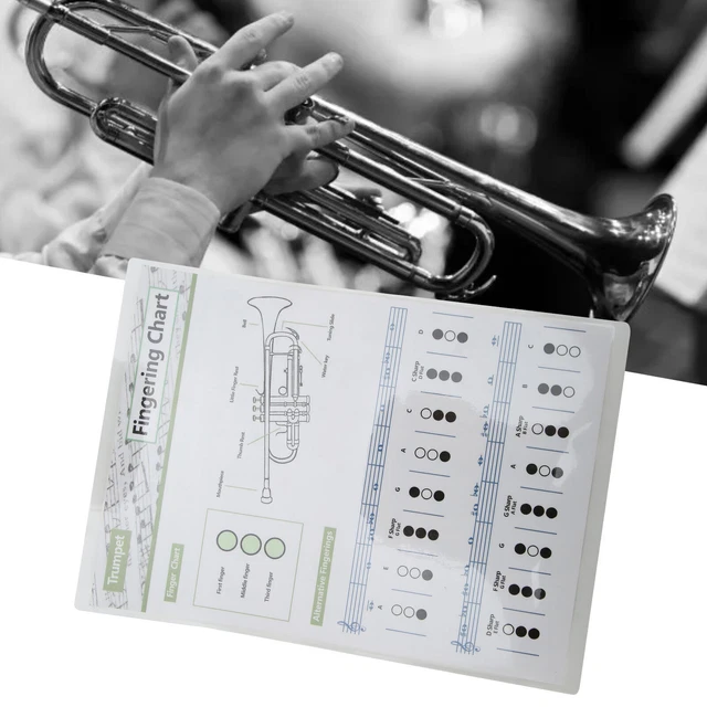 TRUMPET CHORD CHART Fingering Note Music Instrument Reference Guide $13 ...