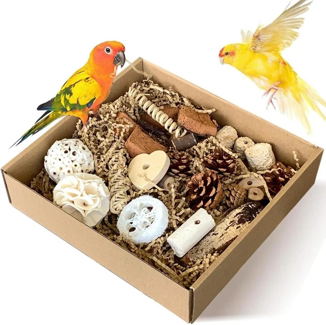 BIRD FORAGING SHREDDING Toys Box, Birds Natural Interactive Chew and ...