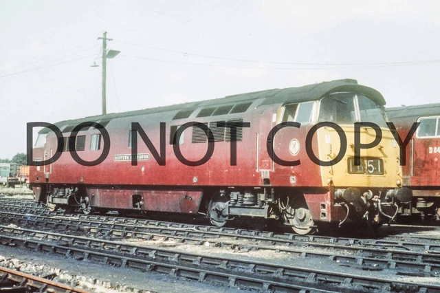 UK DIESEL TRAIN Railway Photograph Of Class 52 Western D1016. Rm52-187 ...