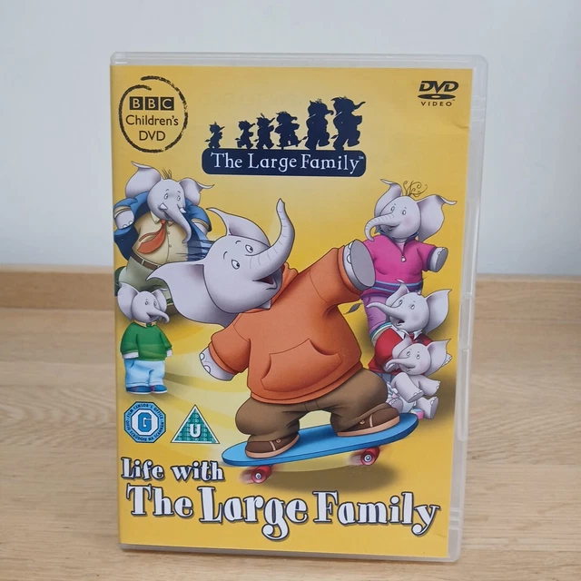 THE LARGE FAMILY - Life With The Large Family (DVD, 2008) Region 2,4 £6 ...