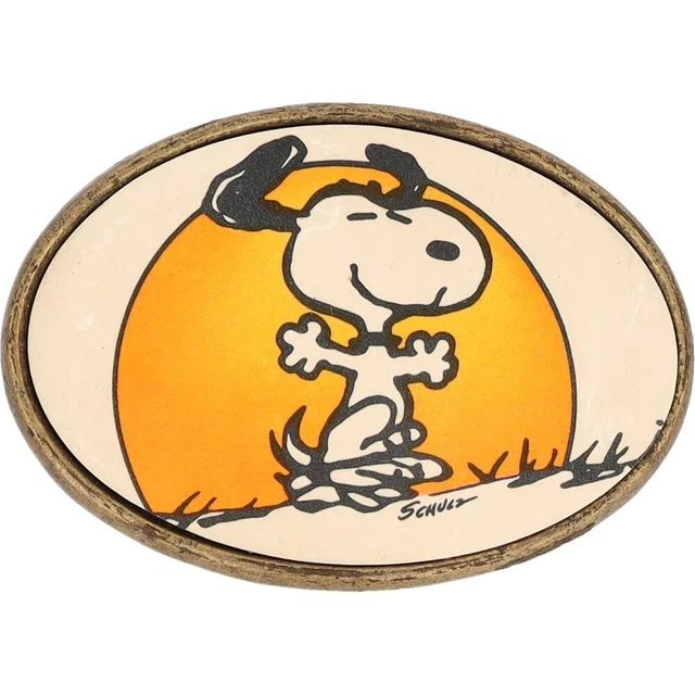 PEANUTS SNOOPY SUN Charles Schultz Comic Strip Cartoon 1970s Vintage ...