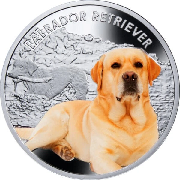 LABRADOR RETRIEVER MAN’S Best Friends Proof Silver Coin 1$ Niue 2014 £ ...