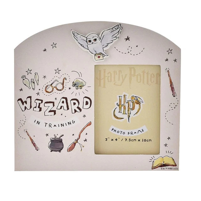 HARRY POTTER PHOTO Frame Wizard Training 3x4 Picture Storage Home Decor ...