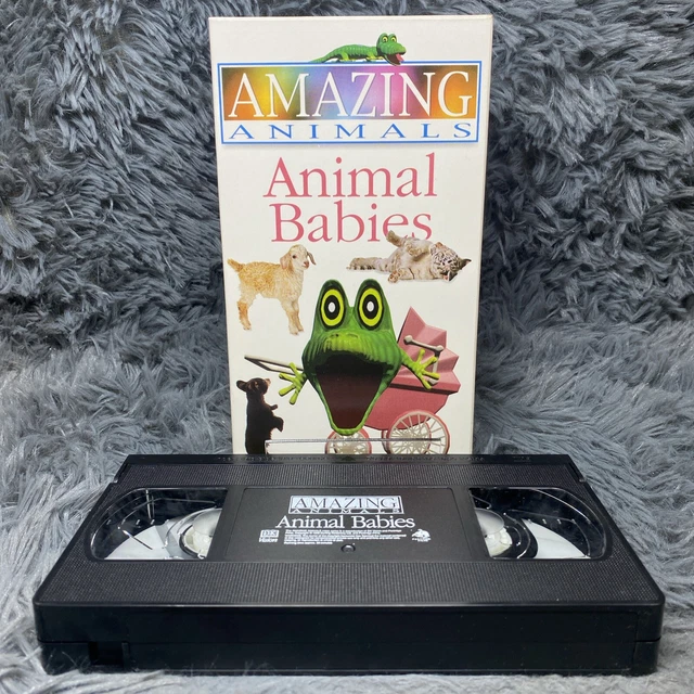 AMAZING ANIMALS: ANIMAL Babies VHS Tape 1997 As Seen On Disney Channel ...