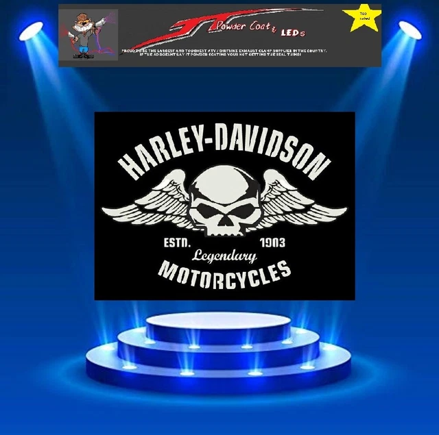 HARLEY DAVIDSON LOGO Skull Stencil Template Airbrush Paint 599 11 28 