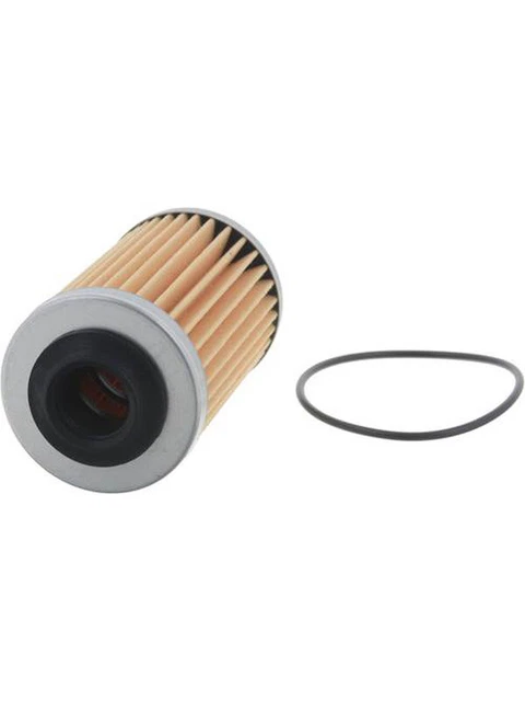 FRAM OIL FILTER fits Cadillac STS 3.6 VVT AWD (CH8765) EUR 15,16 ...
