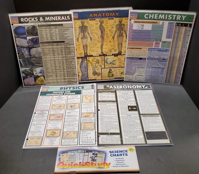 SCIENCE CHARTS QUICKSTUDY by BarCharts Set 5 Trifold Laminated Anatomy ...