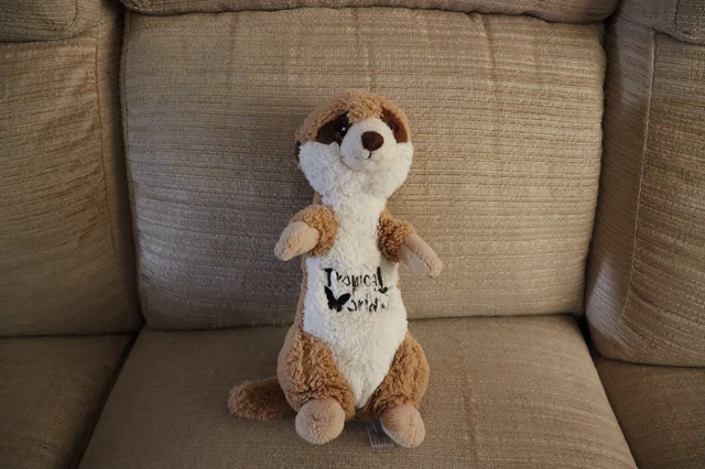 MEERKAT SOFT TOY £1.17 - PicClick UK