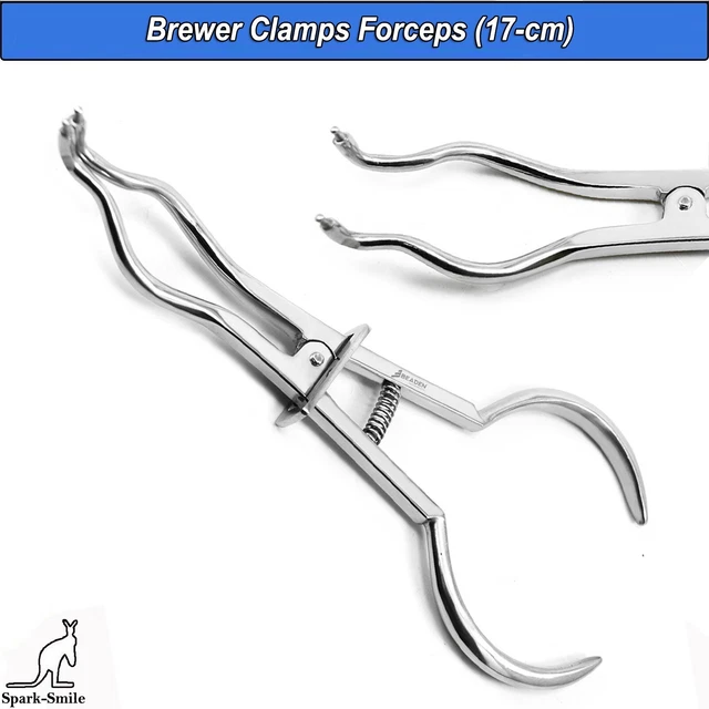 DENTAL ENDODONTICS BREWER Rubber Dam Clamp Forceps Surgical Instruments ...