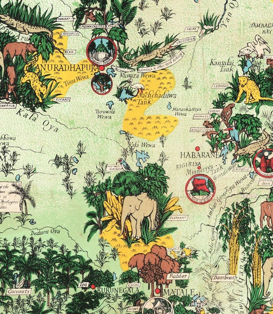 EARLY WALL MAP Ceylon Tea and other Industries Sri Lanka 11"x16" Tea ...