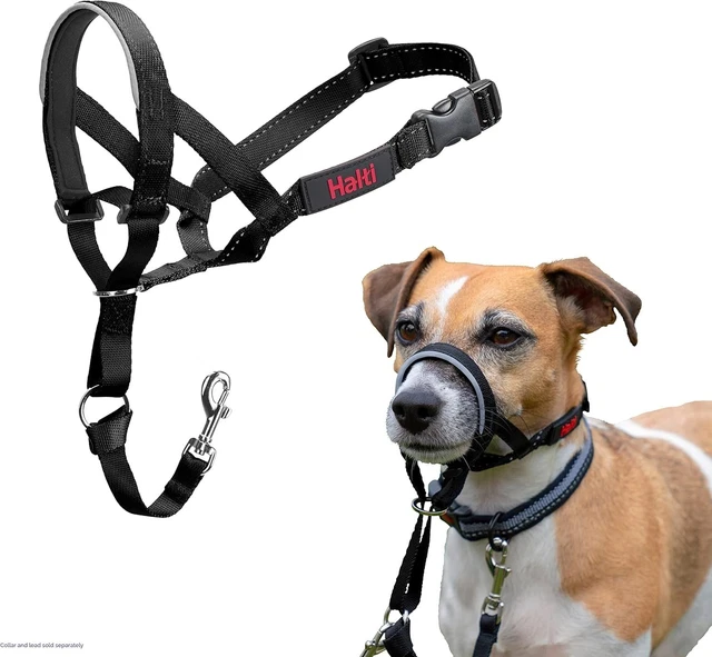 BLACK HALTI 11220A Headcollar for All Breeds - Effective Dog Training ...